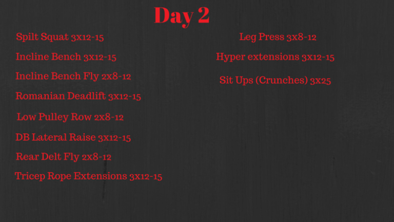 Beginners Workout For All – Onyx Defiant